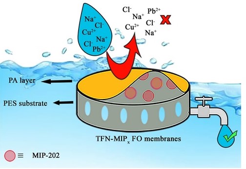 Investigation of the forward osmosis performance of MIP-202-modified ...